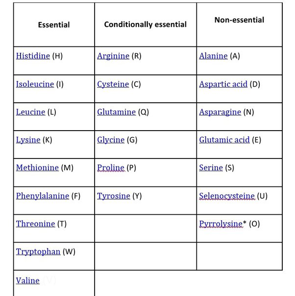 Are there 22 amino acids in human body?