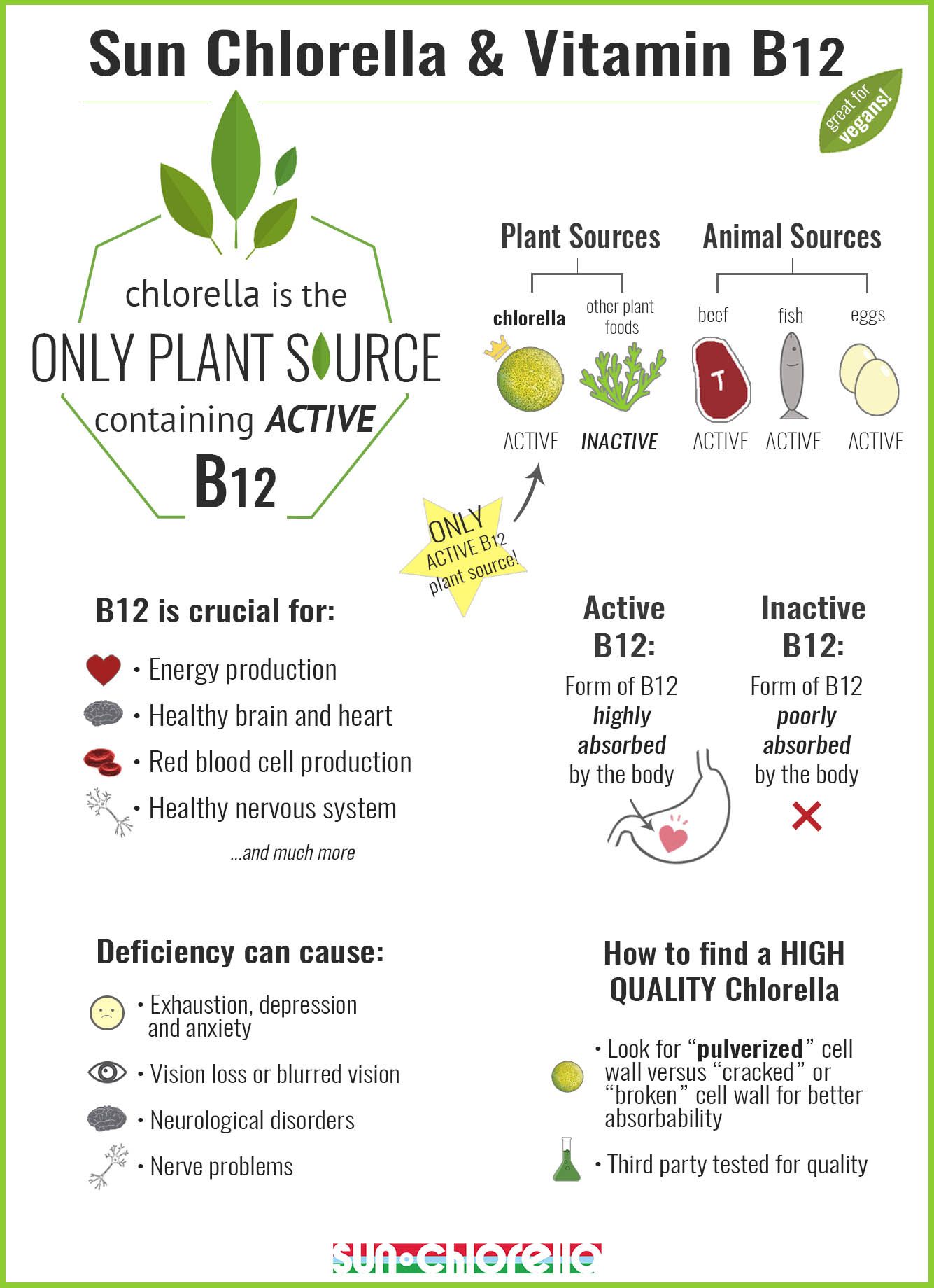 Are there any plant sources of vitamin B12?
