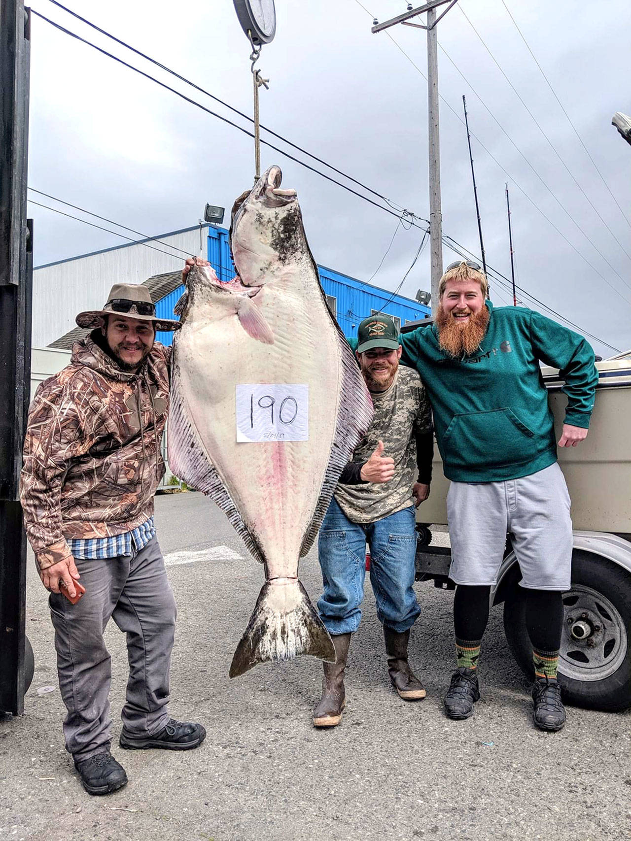 Are there halibut in Puget Sound?