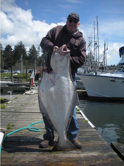 Are there halibut in Washington state?