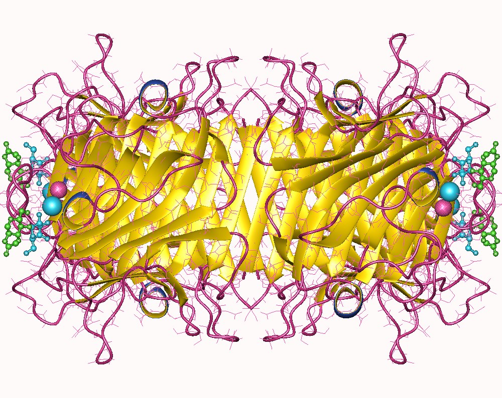 Are there lectins in soy?