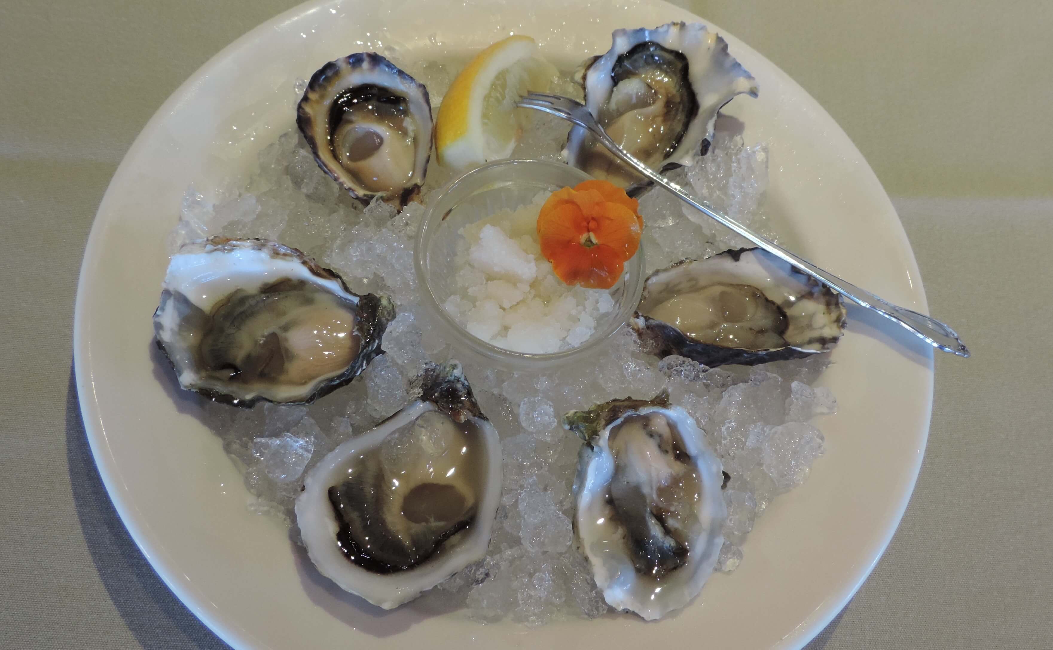 Are there oysters in the Pacific Northwest?