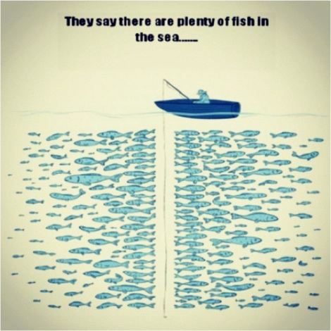 Are there too many fish in the sea?