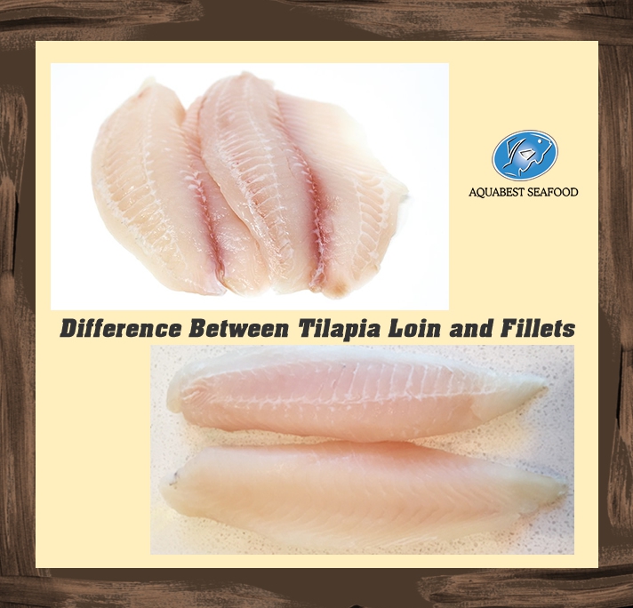 Are tilapia loins the same as fillets?
