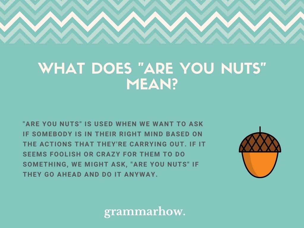 Are u nuts means?
