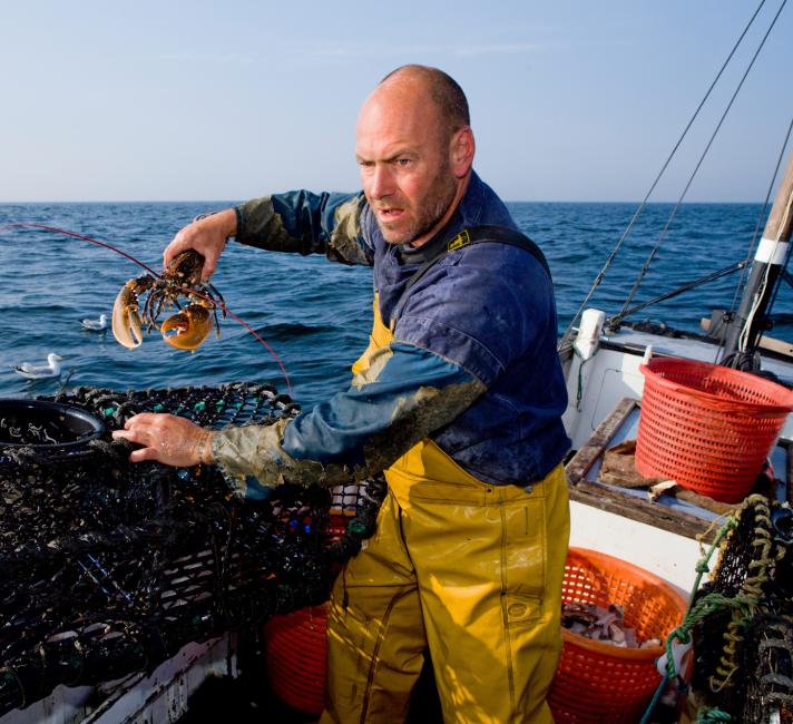 Are UK fisheries sustainable?