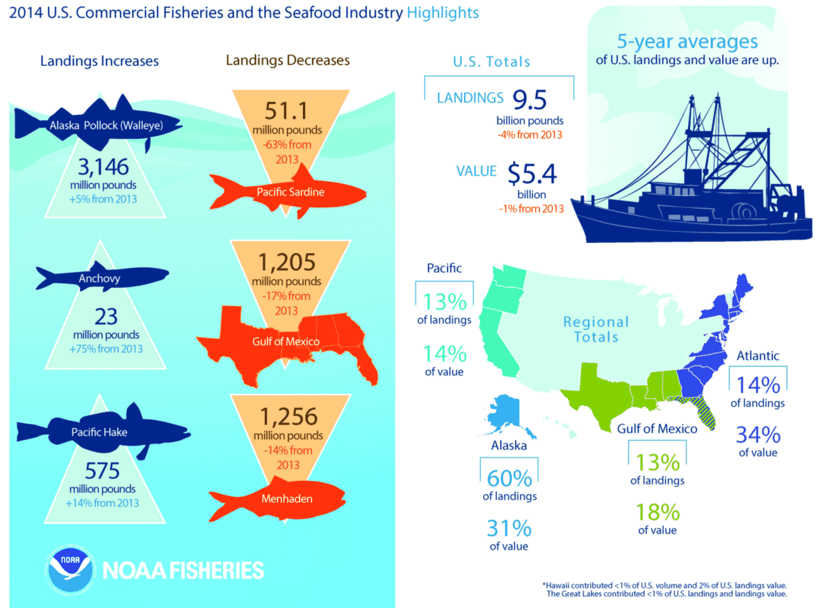 Are US fisheries sustainable?