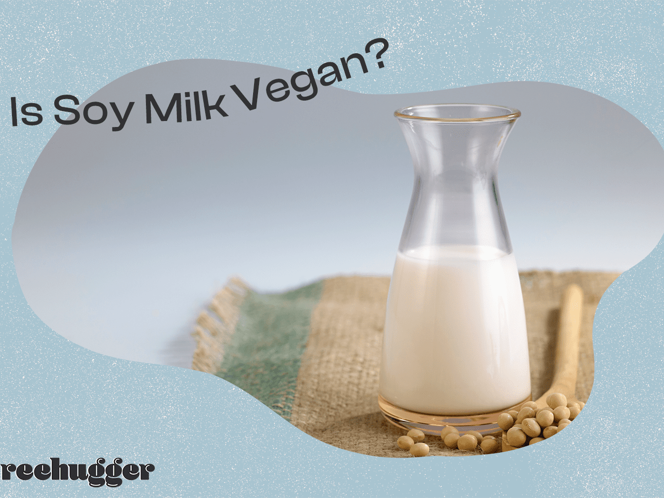 Are vegans allowed to drink soy milk?