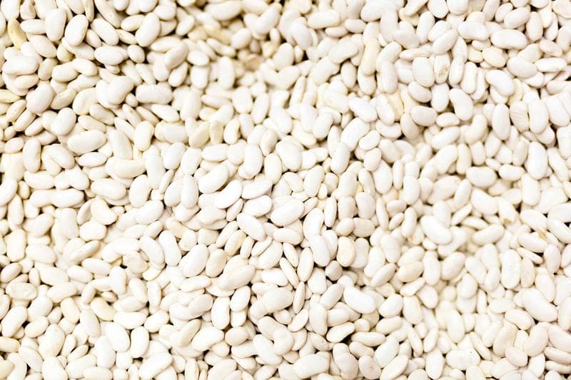 Are white navy beans keto?