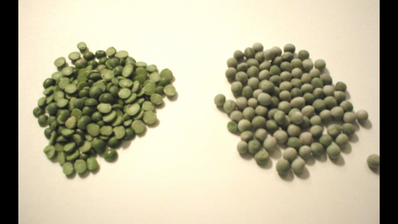 Are whole dried peas the same as split peas?