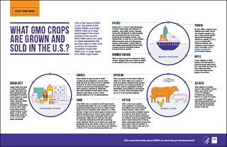 Are you eating foods made from GMO crops?