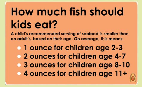 At what age can you eat seafood?