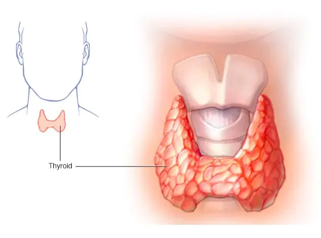 At what age do thyroid problems start?