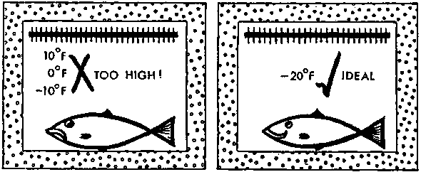 At what temperature should frozen fish to be stored in Celsius?