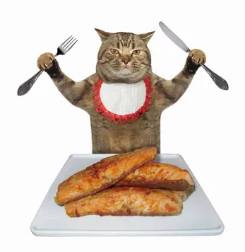 Can a cat eat fish fingers?