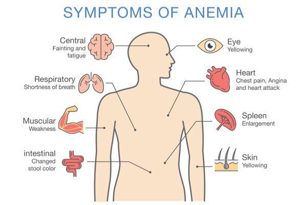 Can a vegan diet cause anemia?