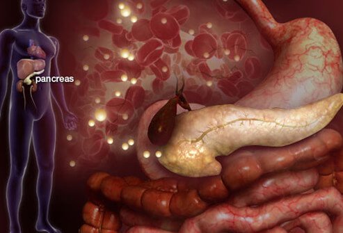 Can an inflamed pancreas heal itself?