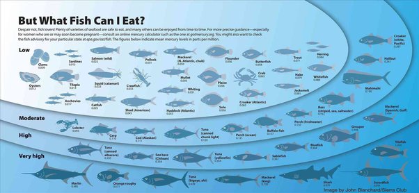 Can any fish be eaten?
