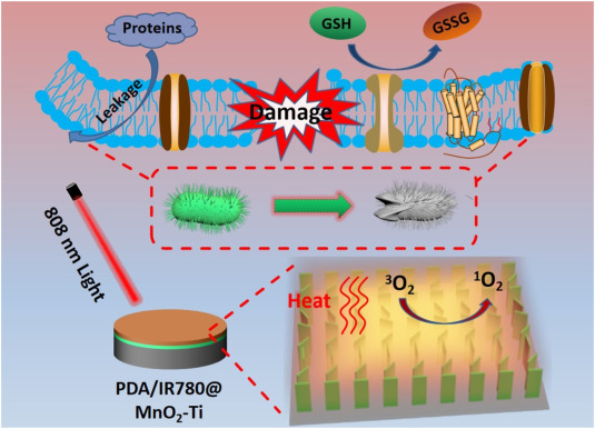 Can bacteria be destroyed by heat?