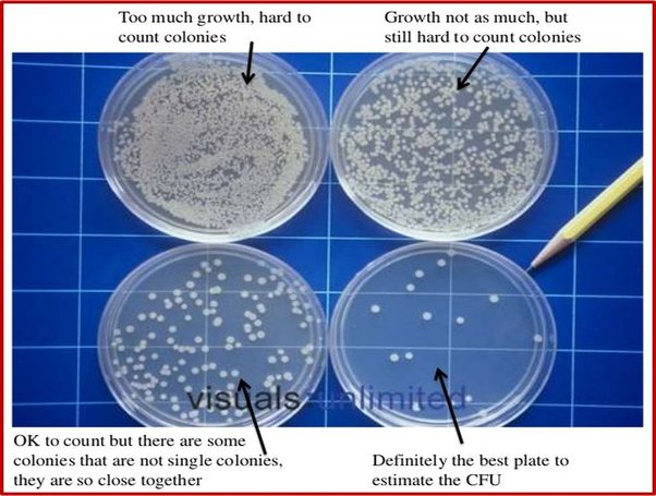 Can bacteria get in a sealed container?