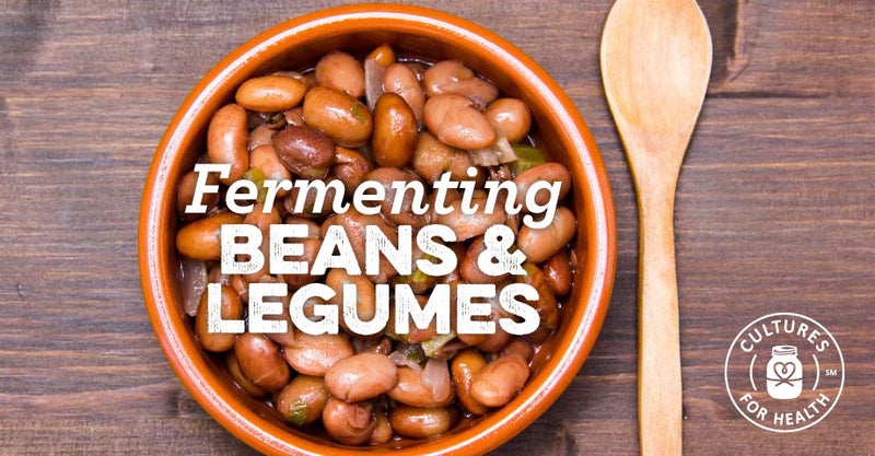 Can beans be fermented?