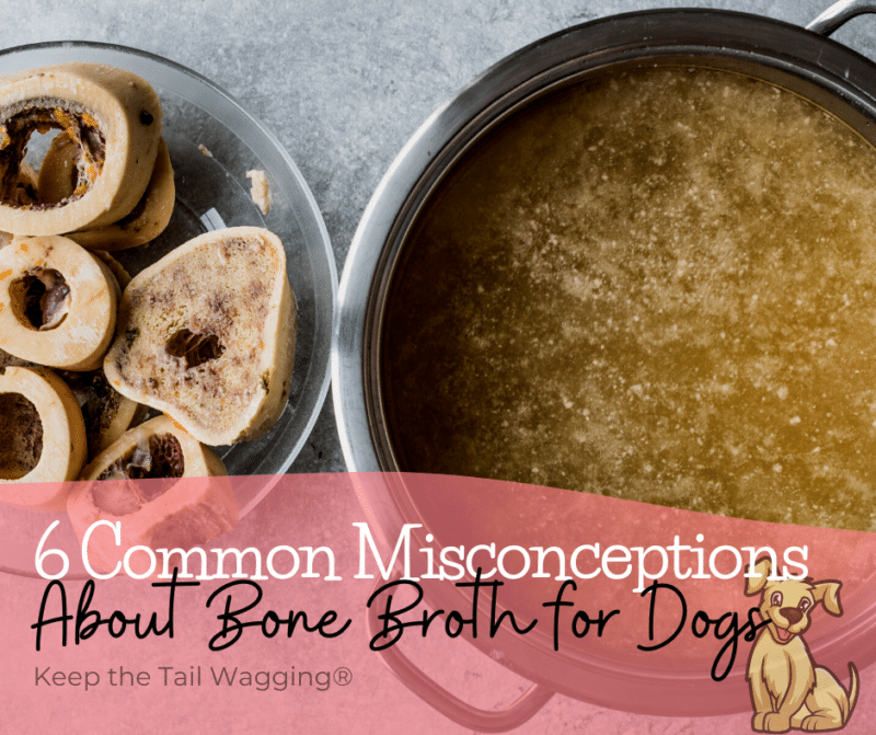 Can beef broth make a dog sick?