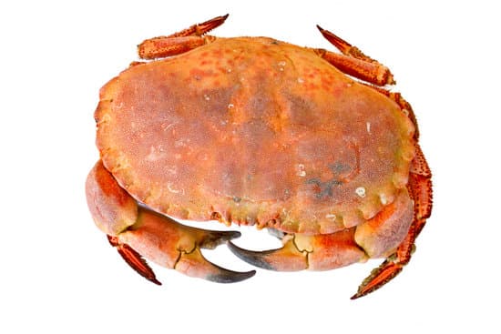 Can canned crab make you sick?