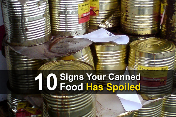 Can canned food be spoiled?