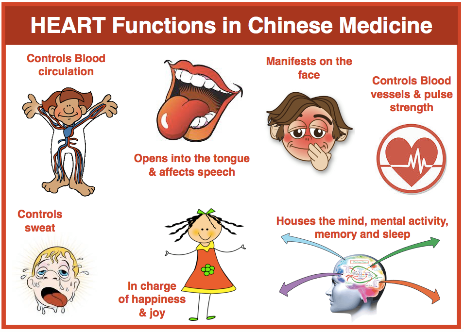 Can Chinese medicine help the heart?