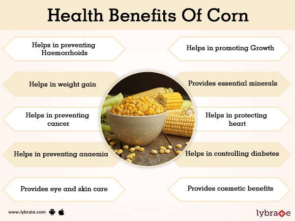 Can corn make you gain weight?
