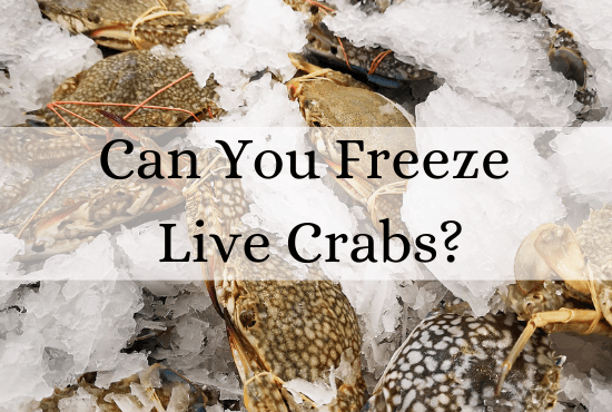 Can crabs be frozen live?