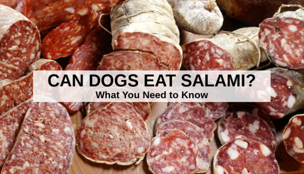 Can dogs eat cured meats?