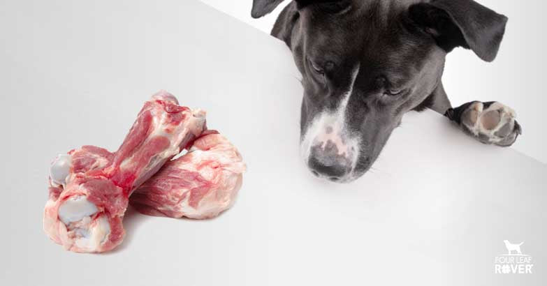 Can dogs eat cured pork bones?