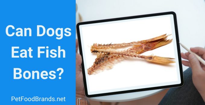 Can dogs eat dehydrated fish bones?