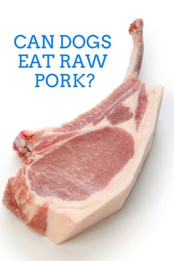 Can dogs eat frozen pork?