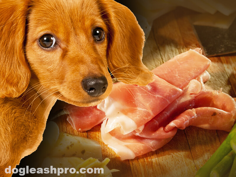 Can dogs eat Prosciutto?