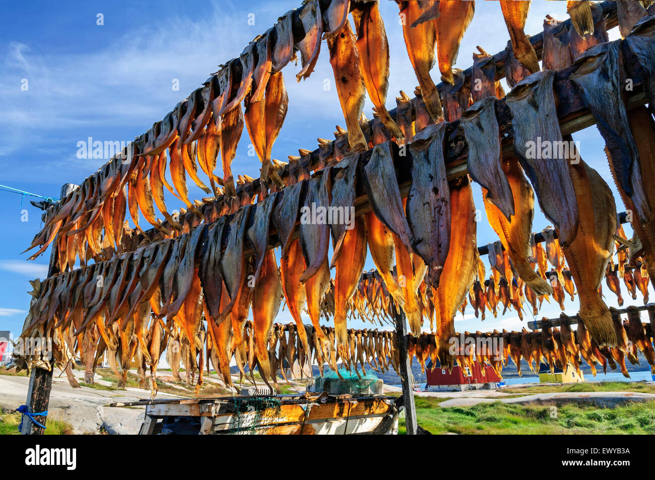 Can dried fish be preserved?