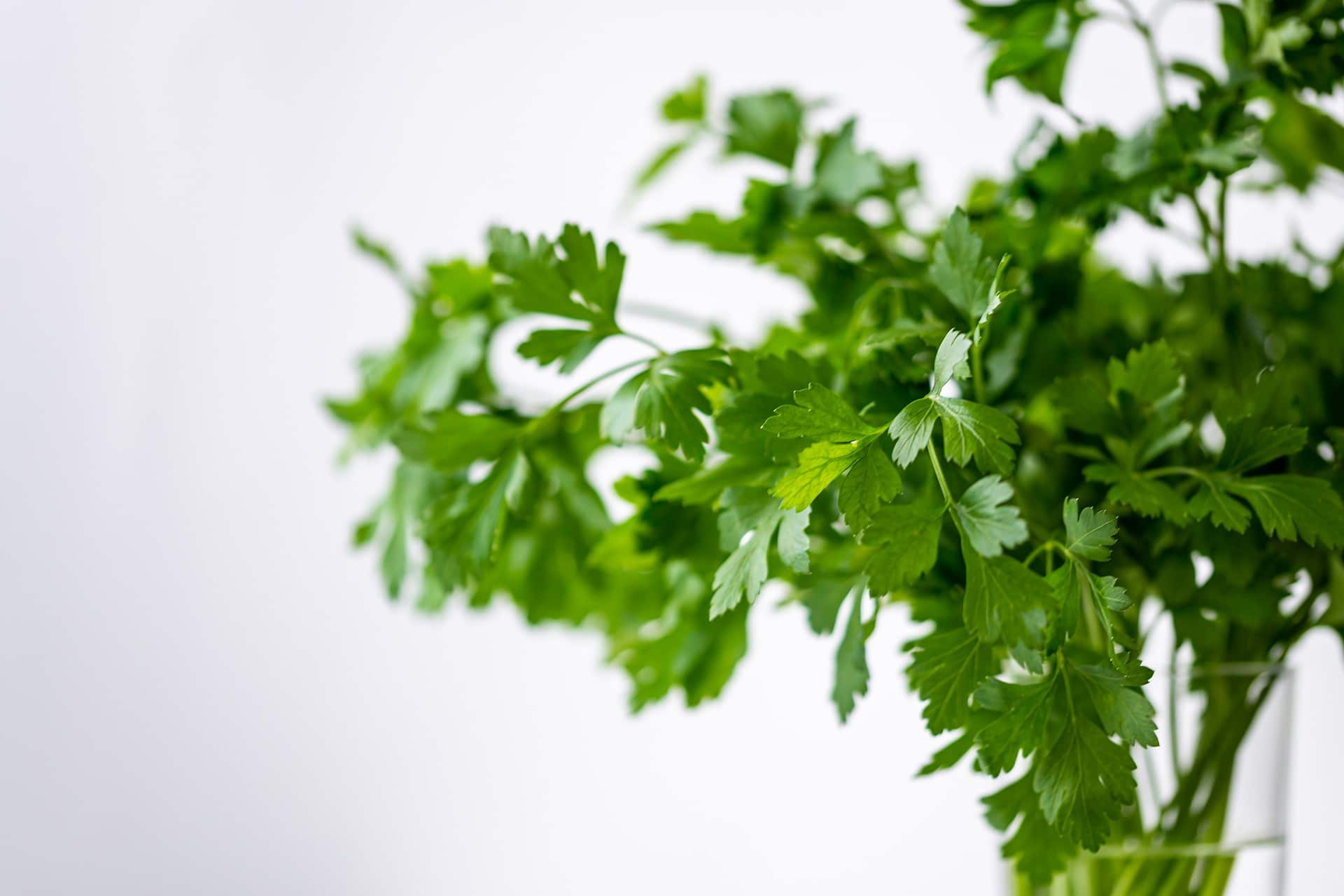 Can dried parsley be used instead of fresh?