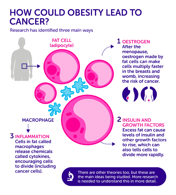 Can eating too much fat cause breast cancer?
