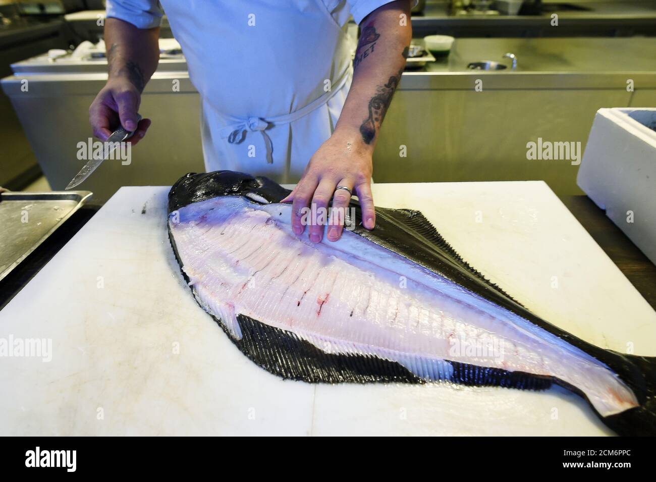 Can farmed halibut be used in restaurants?