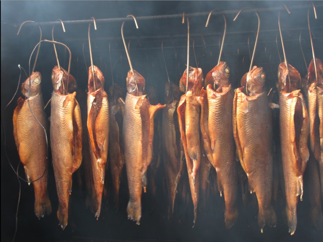 Can fish be preserved by smoking?