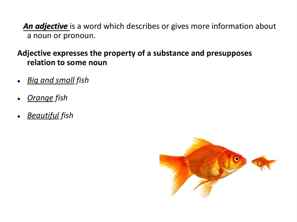 Can fish be used as an adjective?