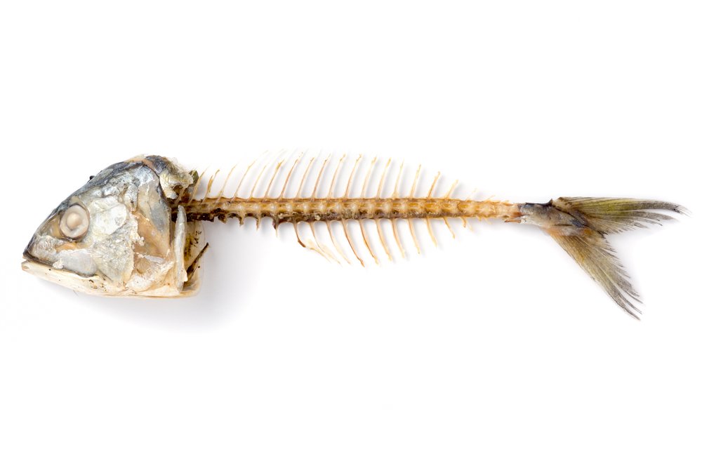 Can fish bones harm you?