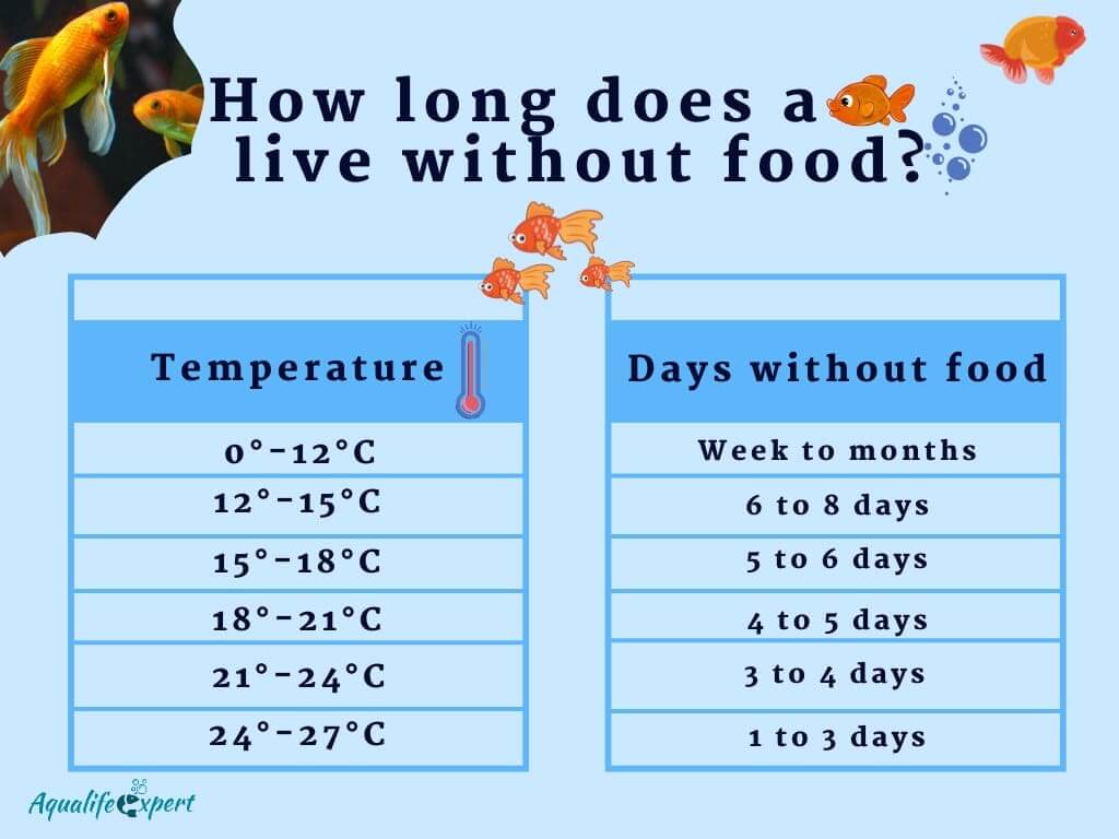 How Many Days Can Tropical Fish Go Without Food at Katherine Goode blog