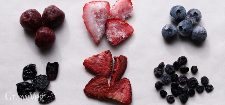 Can frozen fruit be dehydrated?