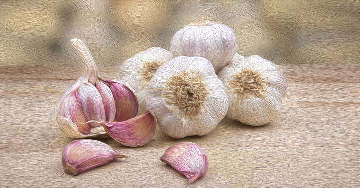 Can garlic extract help lower triglycerides?