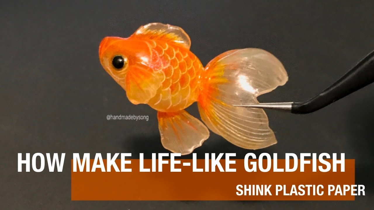 Can goldfish shrink?