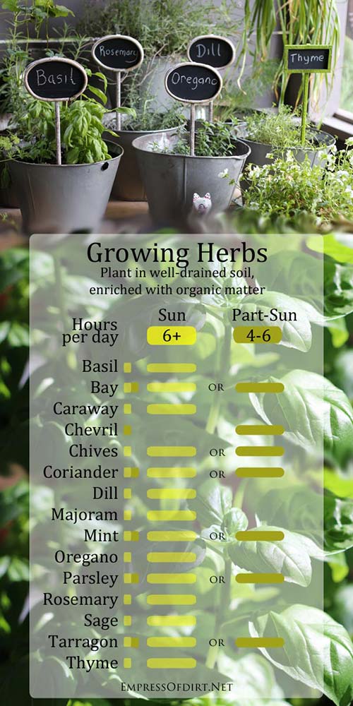 Can herbs get too much sun?