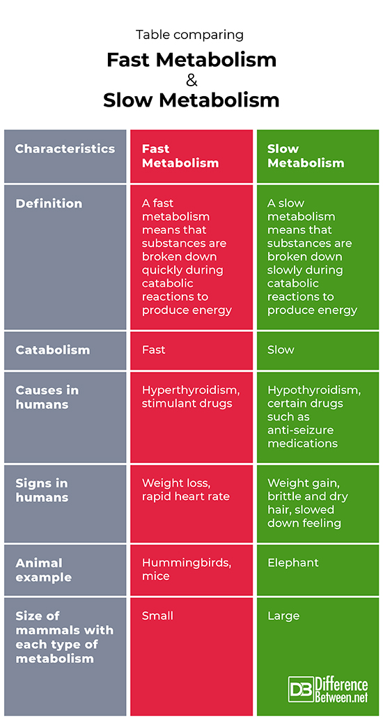 Can high metabolism cause problems?