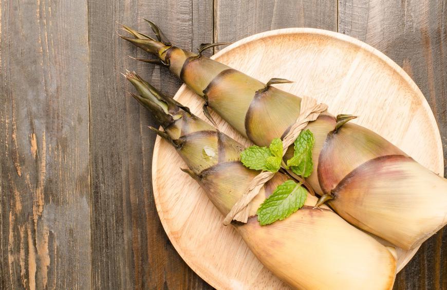 Can humans eat bamboo shoots?